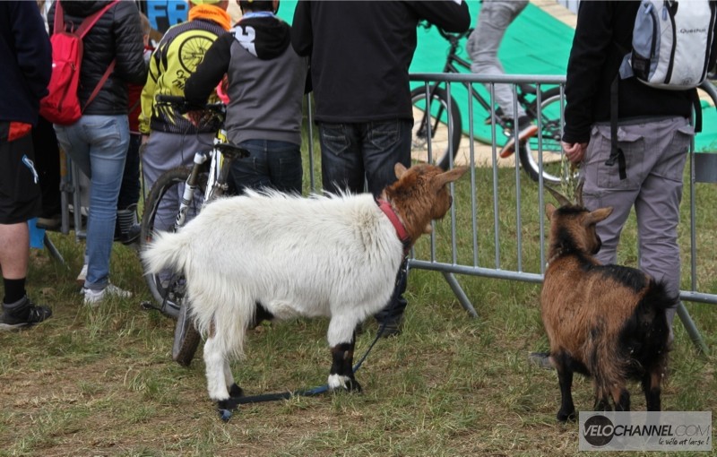 24H VTT des Crapauds 2016, une édition très particulière – VeloChannel.com