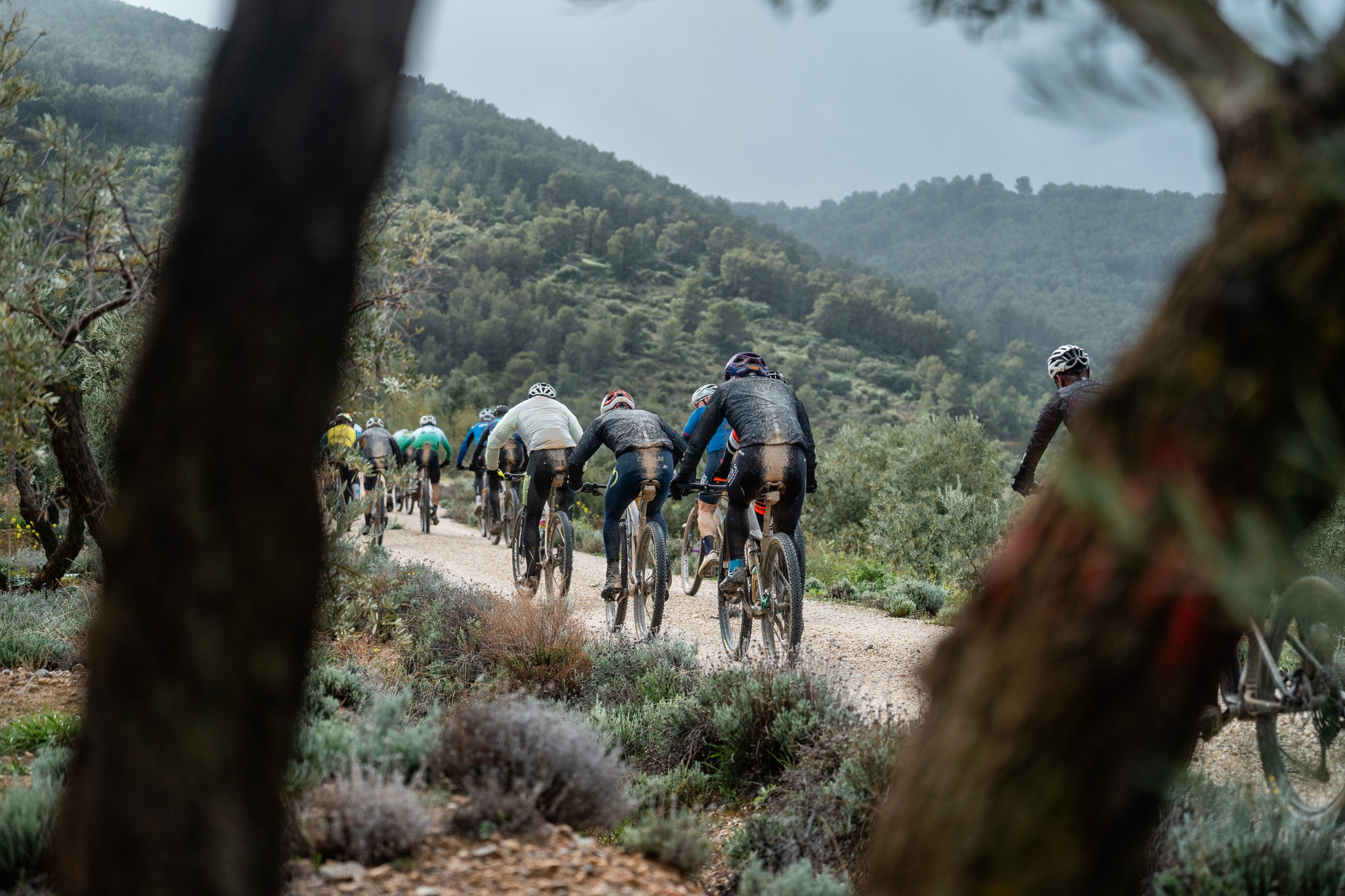 Andalucia Bike Race 2024, c’est parti ! – VeloChannel.com
